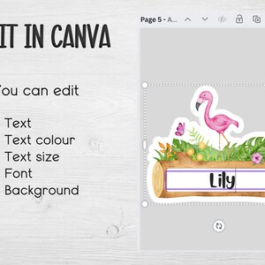 Editable Classroom Labels | Wild Animals & Birds - Etsy