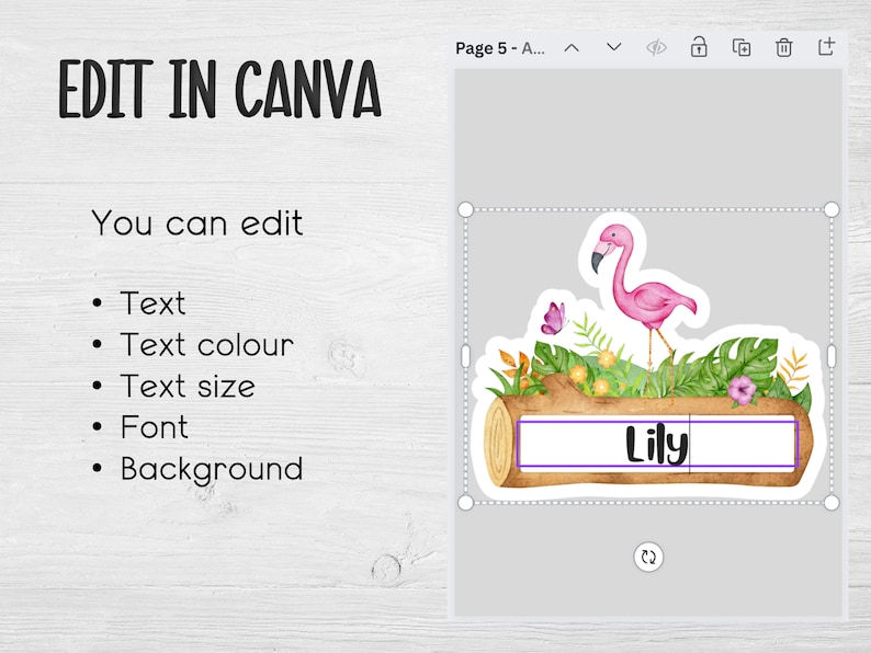 Editable Classroom Labels | Wild Animals & Birds - Etsy