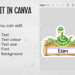 Editable Jungle Classroom Labels | Wild Animals - Etsy