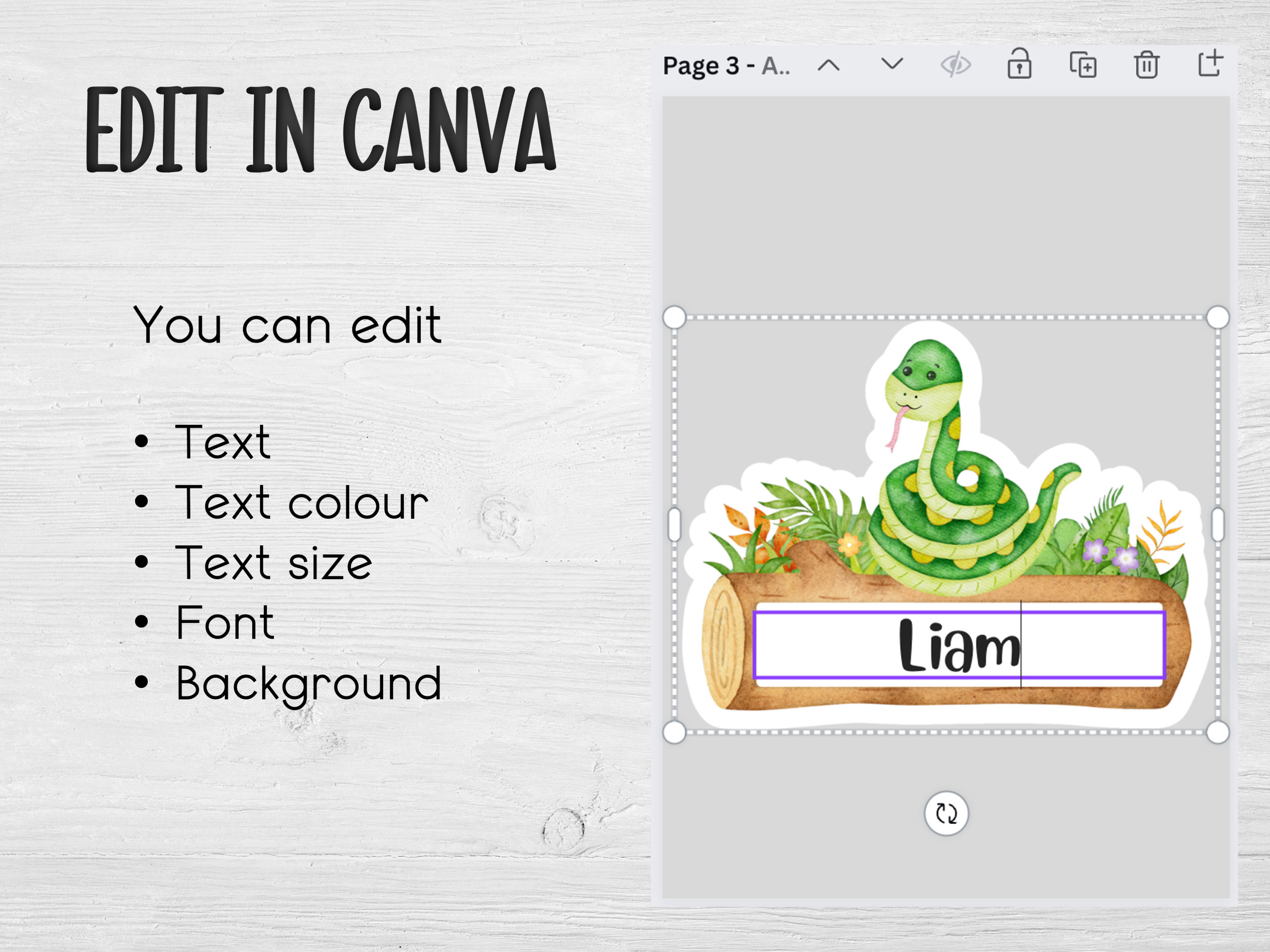 Editable Jungle Classroom Labels | Wild Animals - Etsy