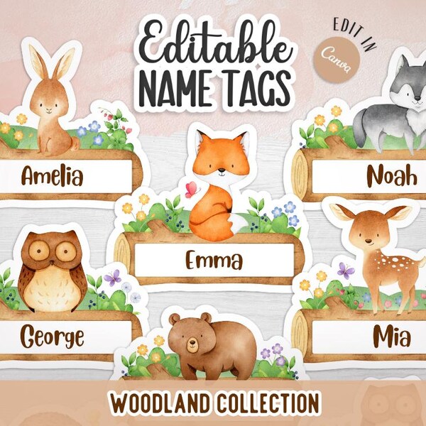 Woodland Classroom - Etsy