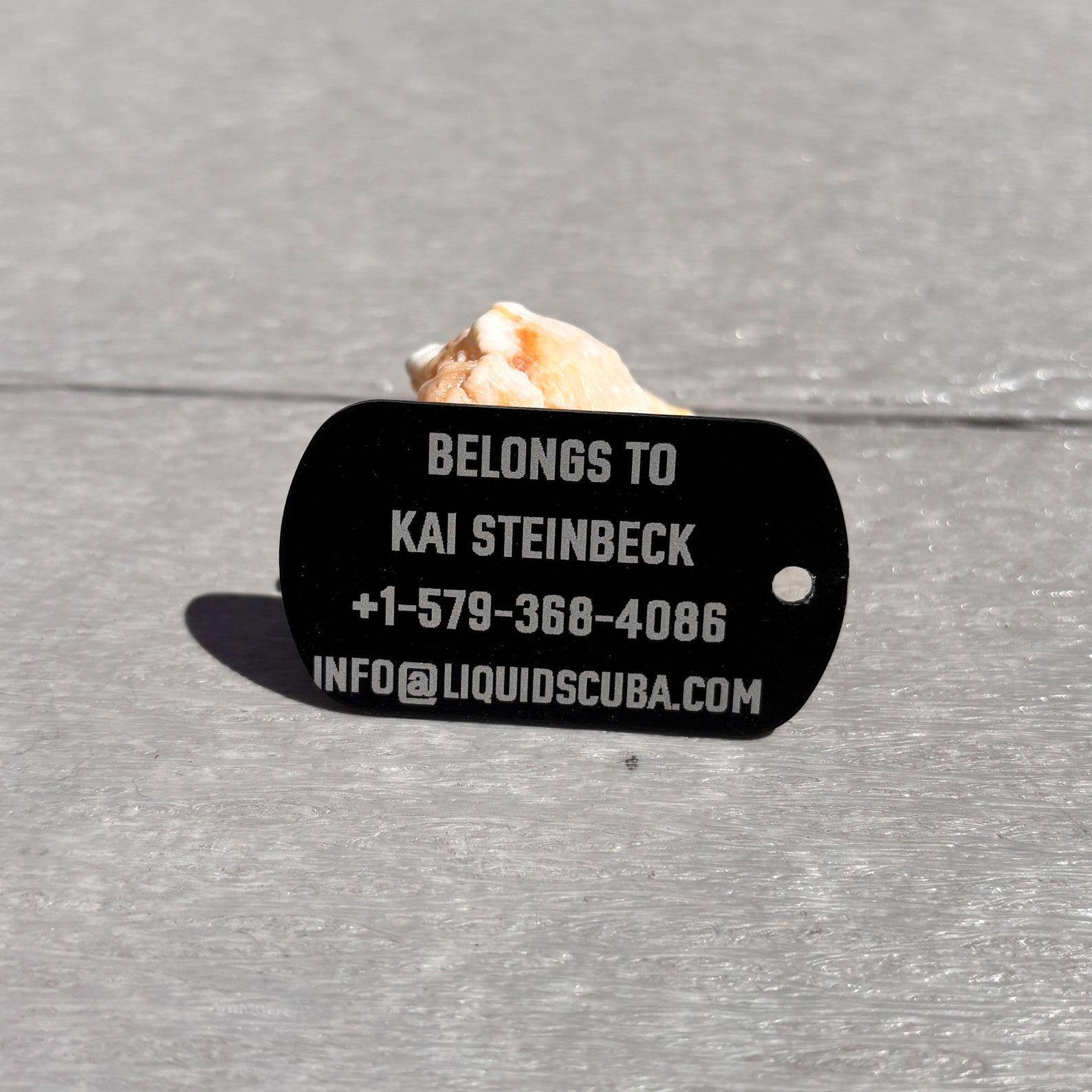 Custom Scuba BCD Tag: Marine Life Engraved Aluminum Dive Gear ID - Etsy