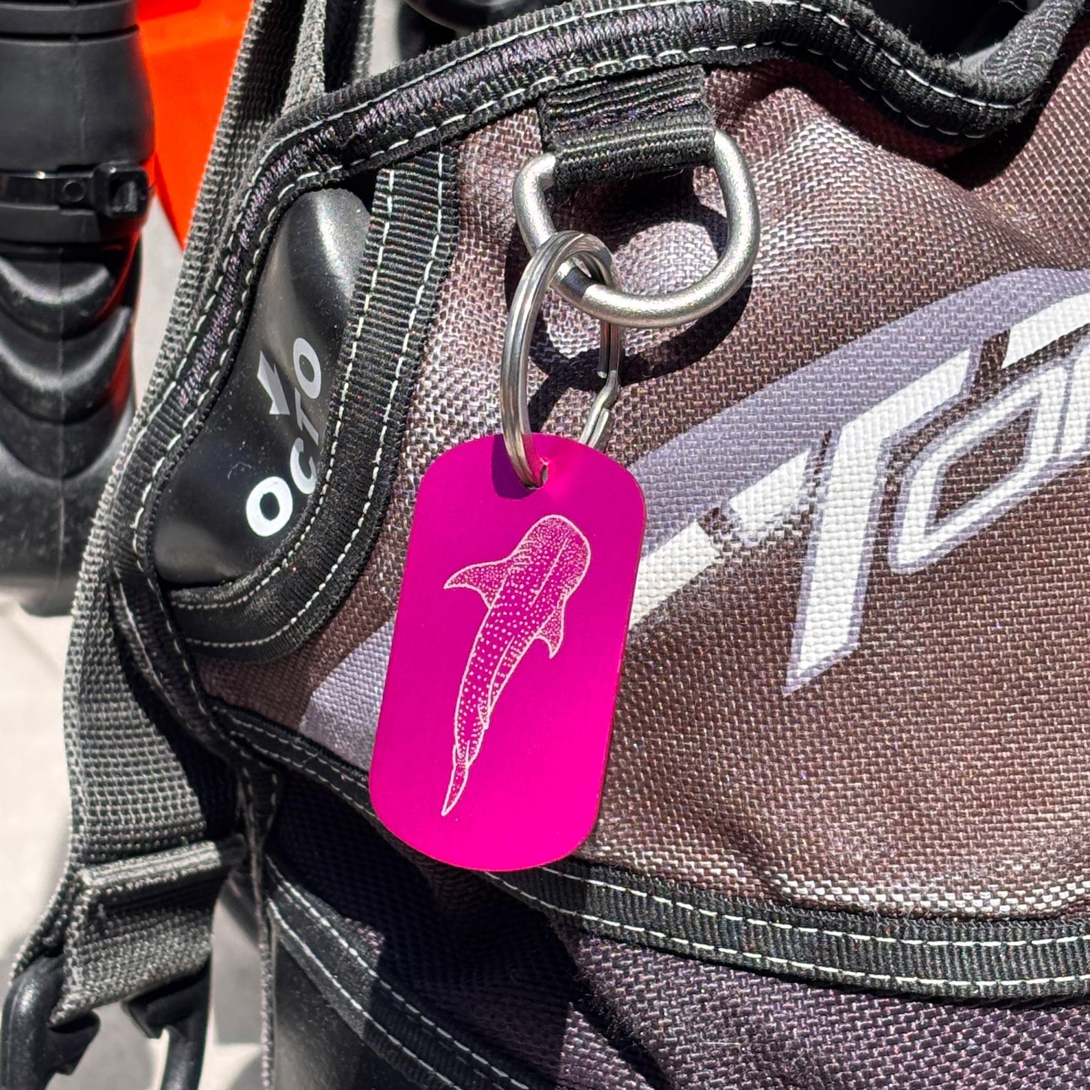 Custom Scuba BCD Tag: Marine Life Engraved Aluminum Dive Gear ID - Etsy