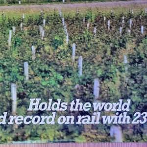 Vintage Railroad Poster Bundle, TGV and New York, New 20th Century ...