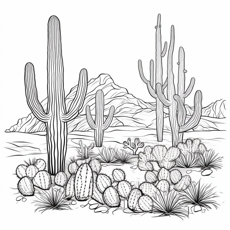 50 Page Floral Cactus & Succulent Coloring Book, Printable PDF ...