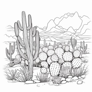 50 Page Floral Cactus & Succulent Coloring Book, Printable PDF ...