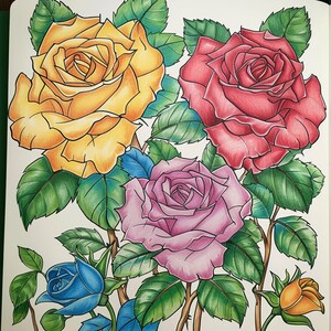 100 Page Roses Coloring Book Adult Children Volume 1 8.5"x11" PDF Page ...