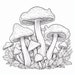 Mushroom Coloring Book Fantastic Fungi Magic Mushrooms - Etsy