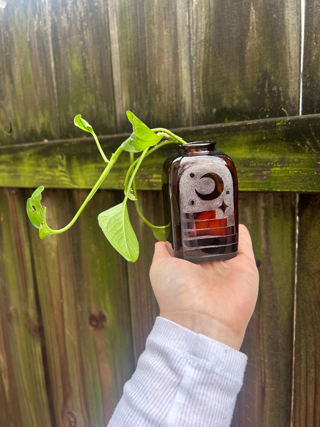 Portal Propagation Bottle - Etsy