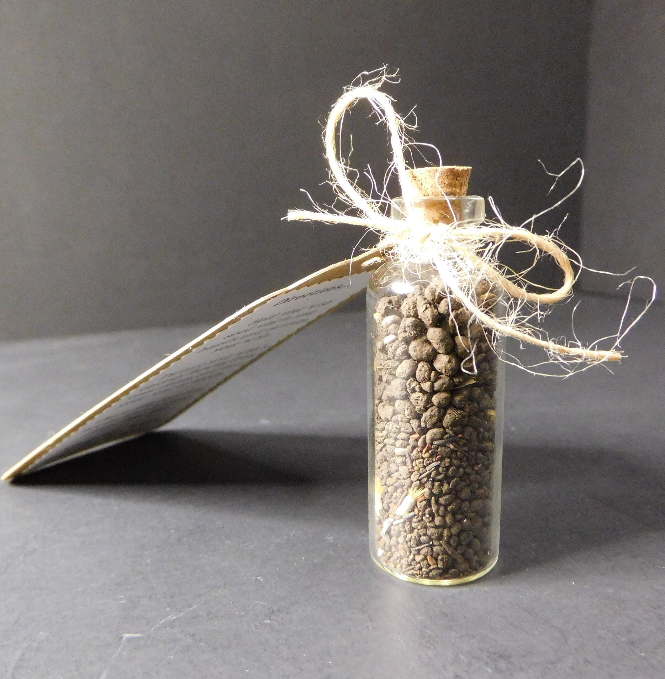 Magic Garden Wildflower Wish Seed Vial Spell Kit - Etsy