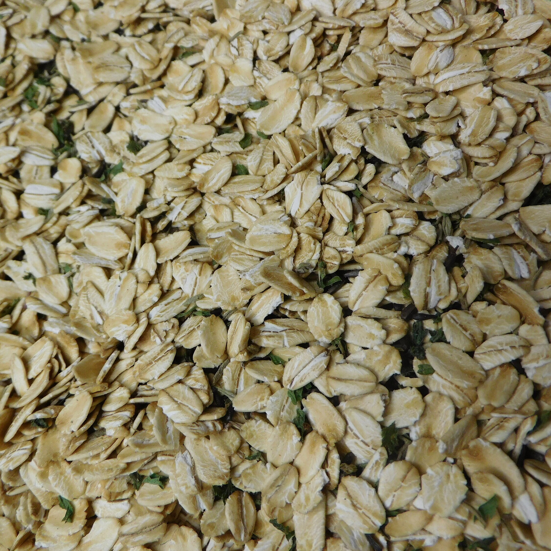 Offering Oats Altar Spell Tool Shrine Offering Powerful Fuel Gift ...