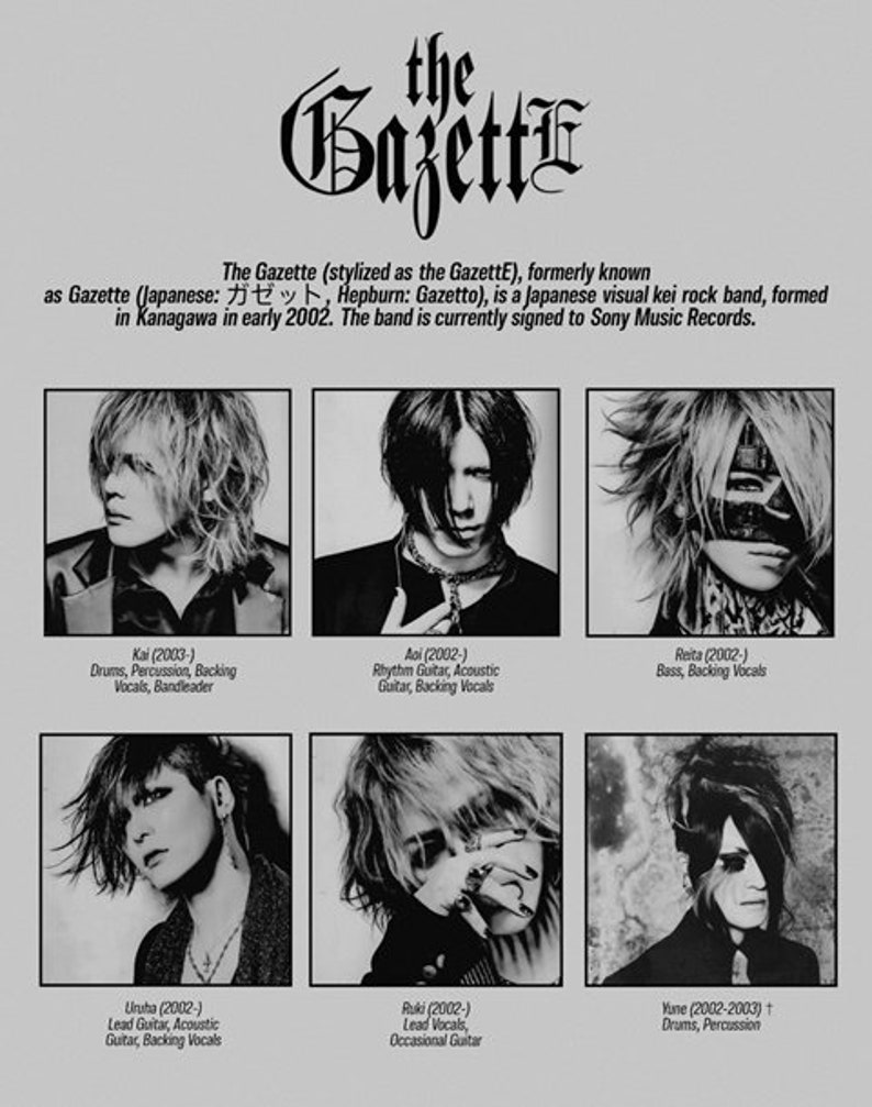 Visual Kei Members Throughout the Years Poster - Etsy