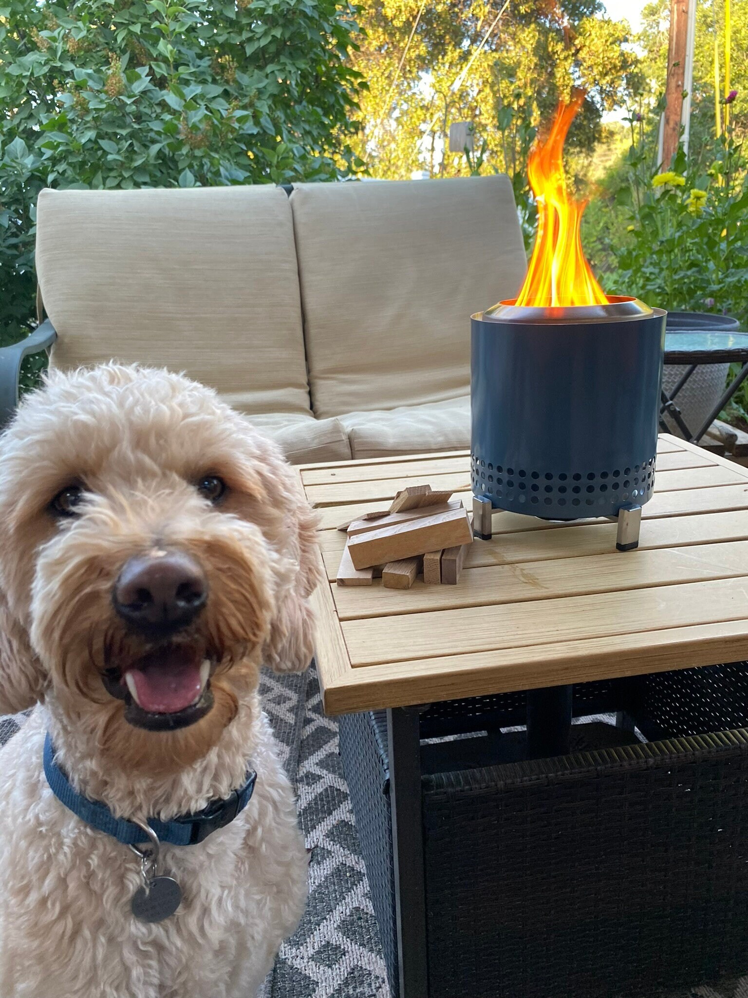 Mini Firewood - Kiln Dried Hardwood for Solo Stove 13+ Lbs - Etsy