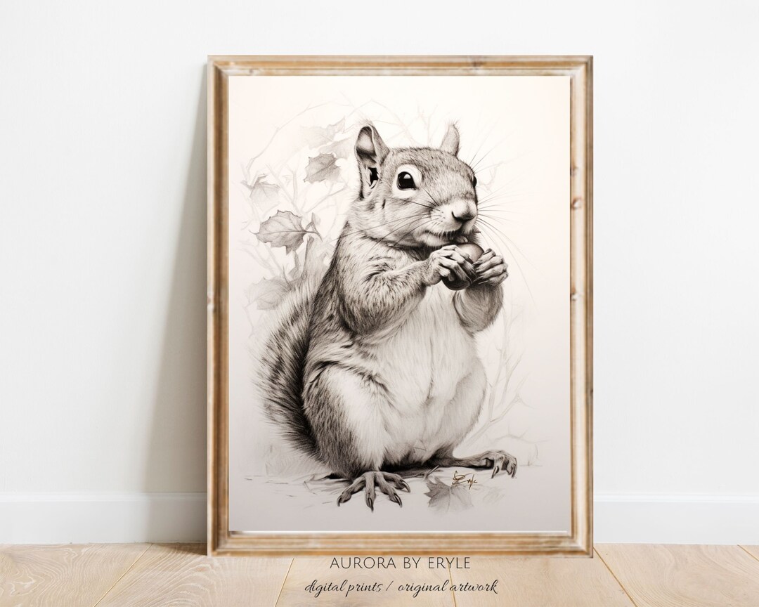 Autumn Squirrel Pencil Sketch, Adorable Animal in Nature Drawing ...