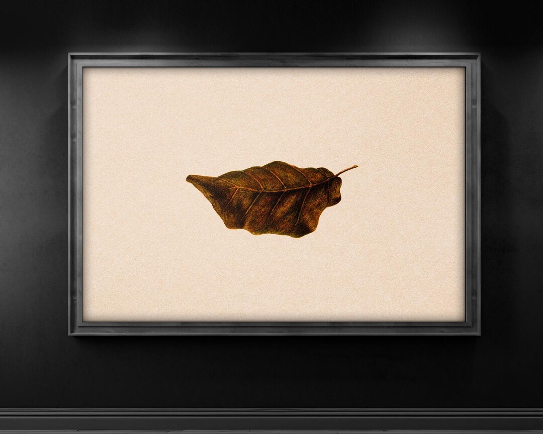 Nature-inspired Wall Decor | Earthy Leaf Illustration | Rustic Nature ...