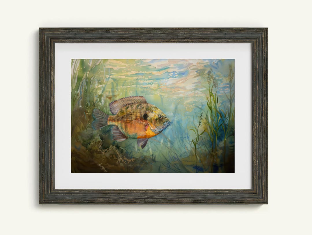 Bluegill Fishing Digital Art Bundle Printable Digital Download Wall Art ...