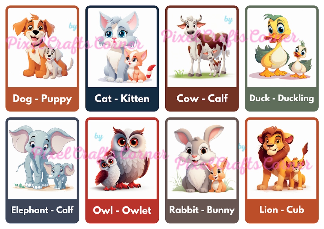 BABY ANIMALS 16 Montessori Flash Cards Flash Cards Nomenclature Flash ...