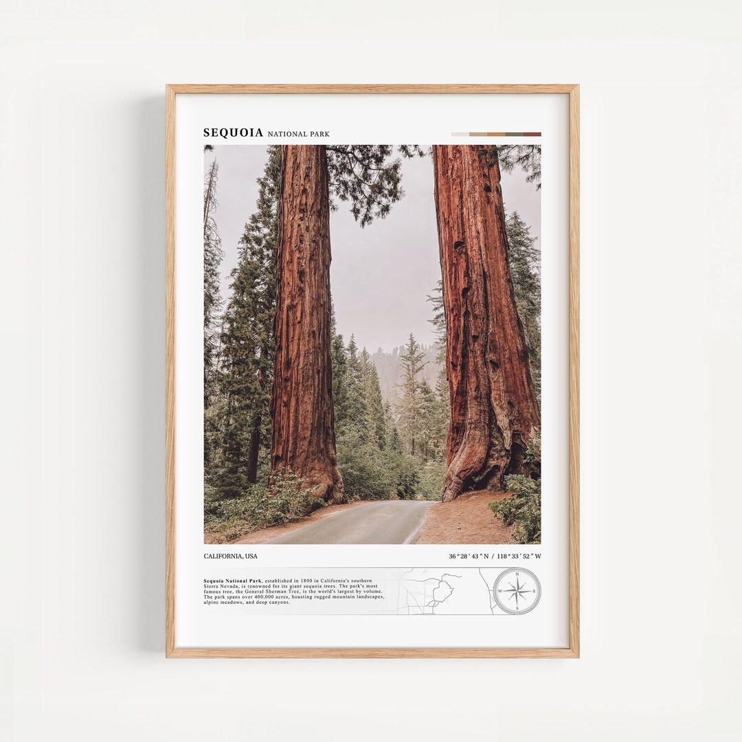 Sequoia National Park Printable Travel Poster, Instant Download ...
