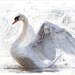 White Swan - Mint Decoupage Paper - Etsy