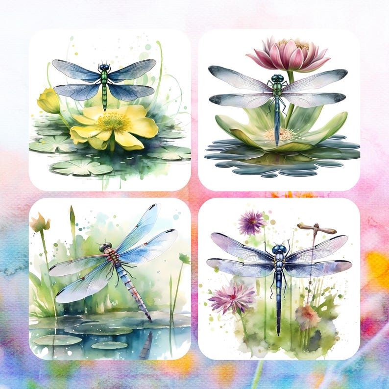 Dragonfly Square Coaster Sublimation Bundle, 60+ Watercolor Insect ...