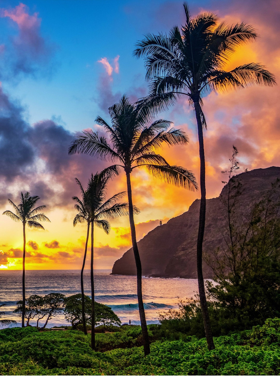 Tropical Sunrise Makapuu Beach Oahu, Hawaii Spectacular Photo Taken by ...