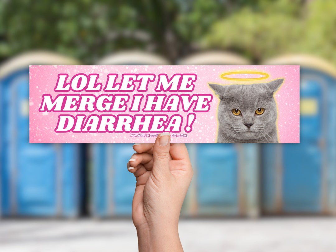 Let Me Merge I Have Diarrhea | Funny Car Decal | Unhinged Bumper ...