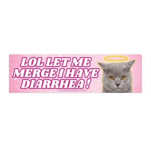 Let Me Merge I Have Diarrhea | Funny Car Decal | Unhinged Bumper ...