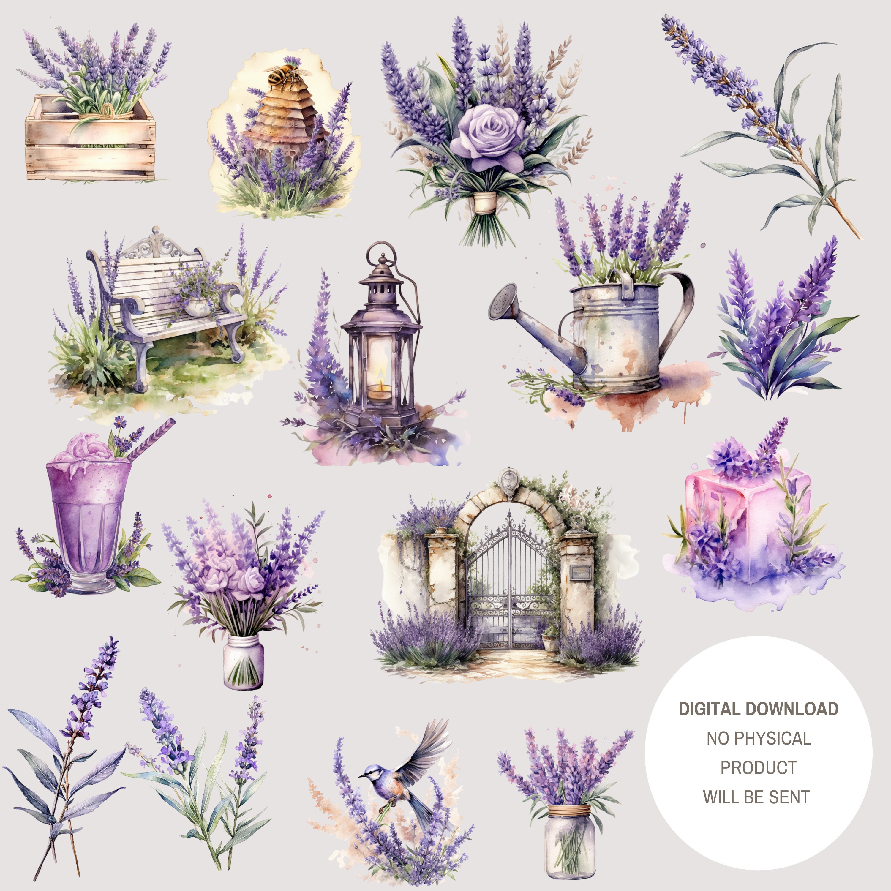 Watercolour Lavender Clipart, Lavender Flowers Clipart, Lavender Garden ...