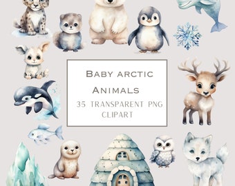 Watercolor Arctic Animals Clipart: Winter PNG Bundle (digital Download ...