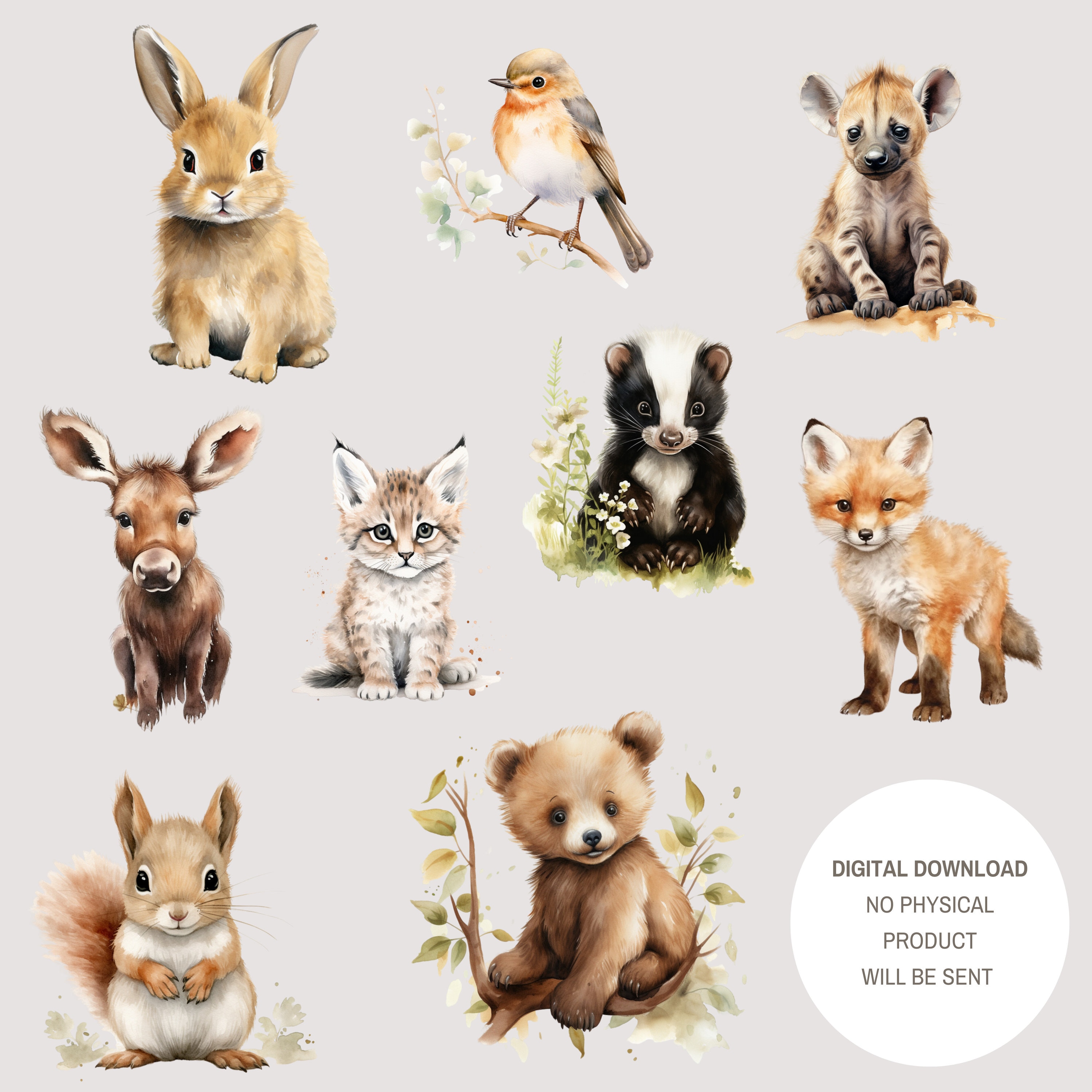 Woodland Animals Watercolor Clipart, Baby Animals PNG, Watercolour ...