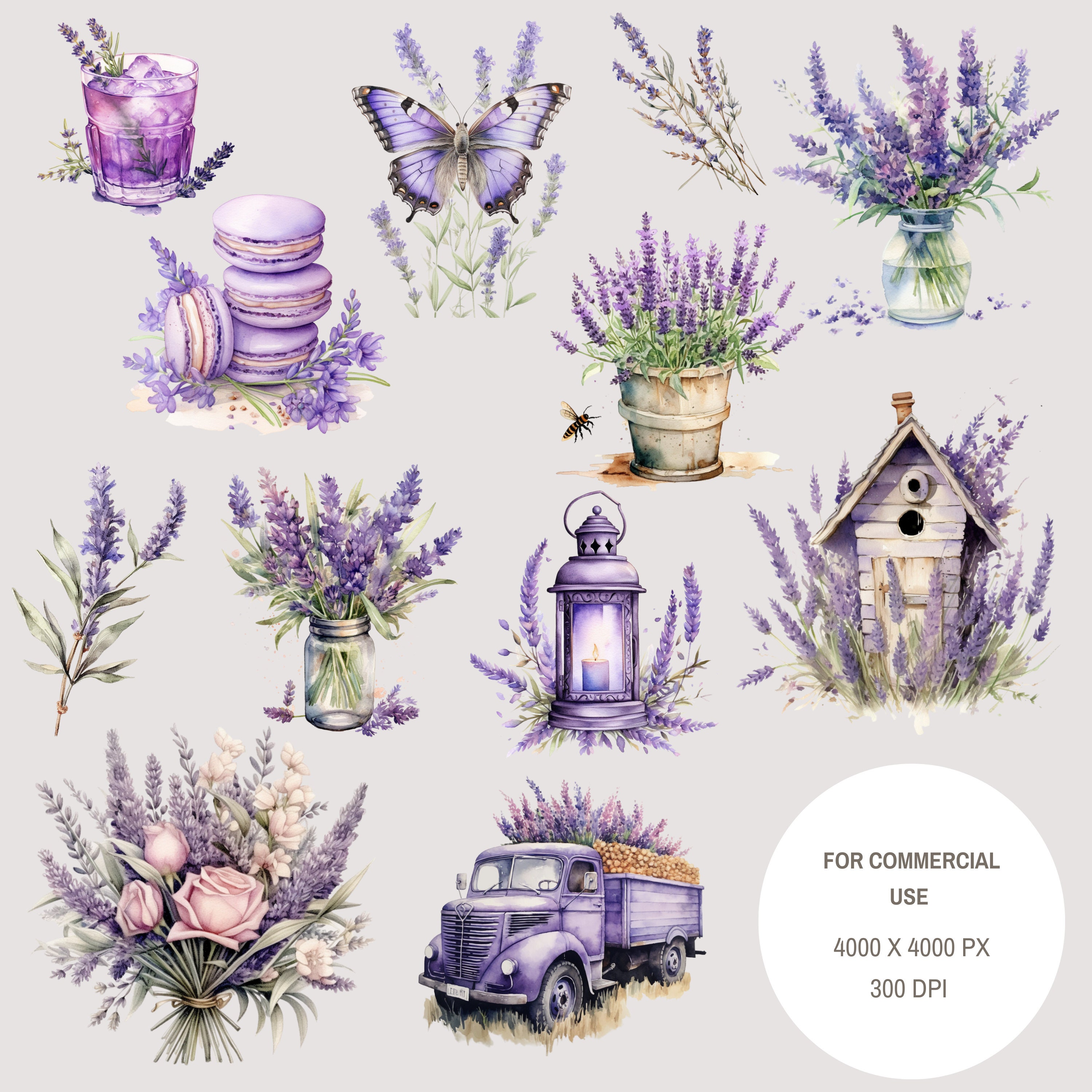 Watercolour Lavender Clipart, Lavender Flowers Clipart, Lavender Garden ...