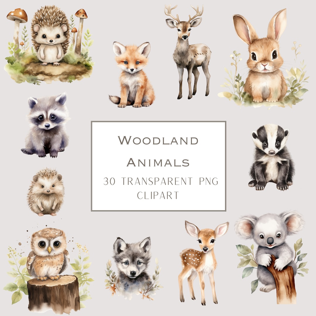 Woodland Animals Watercolor Clipart, Baby Animals PNG, Watercolour ...