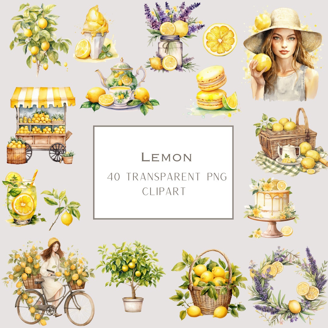 Watercolor Lemon Clipart Bundle: 40 PNG Fruit Graphics (commercial Use ...