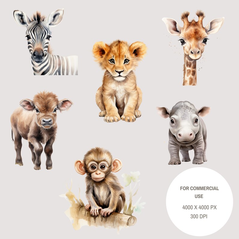 Safari Animals Clipart PNG | Baby Safari Watercolor Animals | Nursery ...