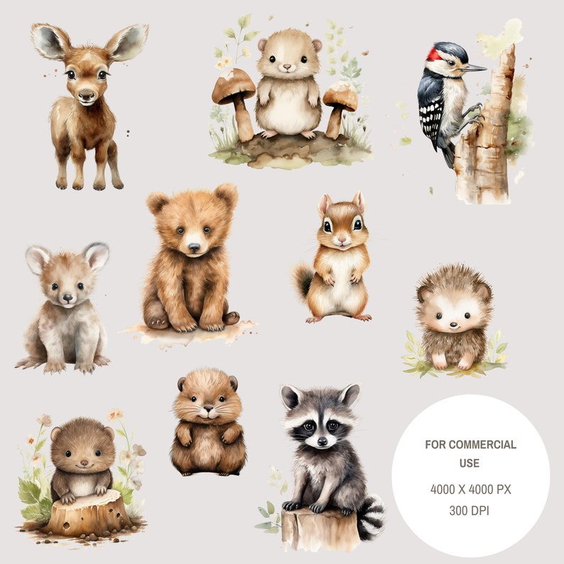 Woodland Animals Watercolor Clipart, Baby Animals PNG, Watercolour ...