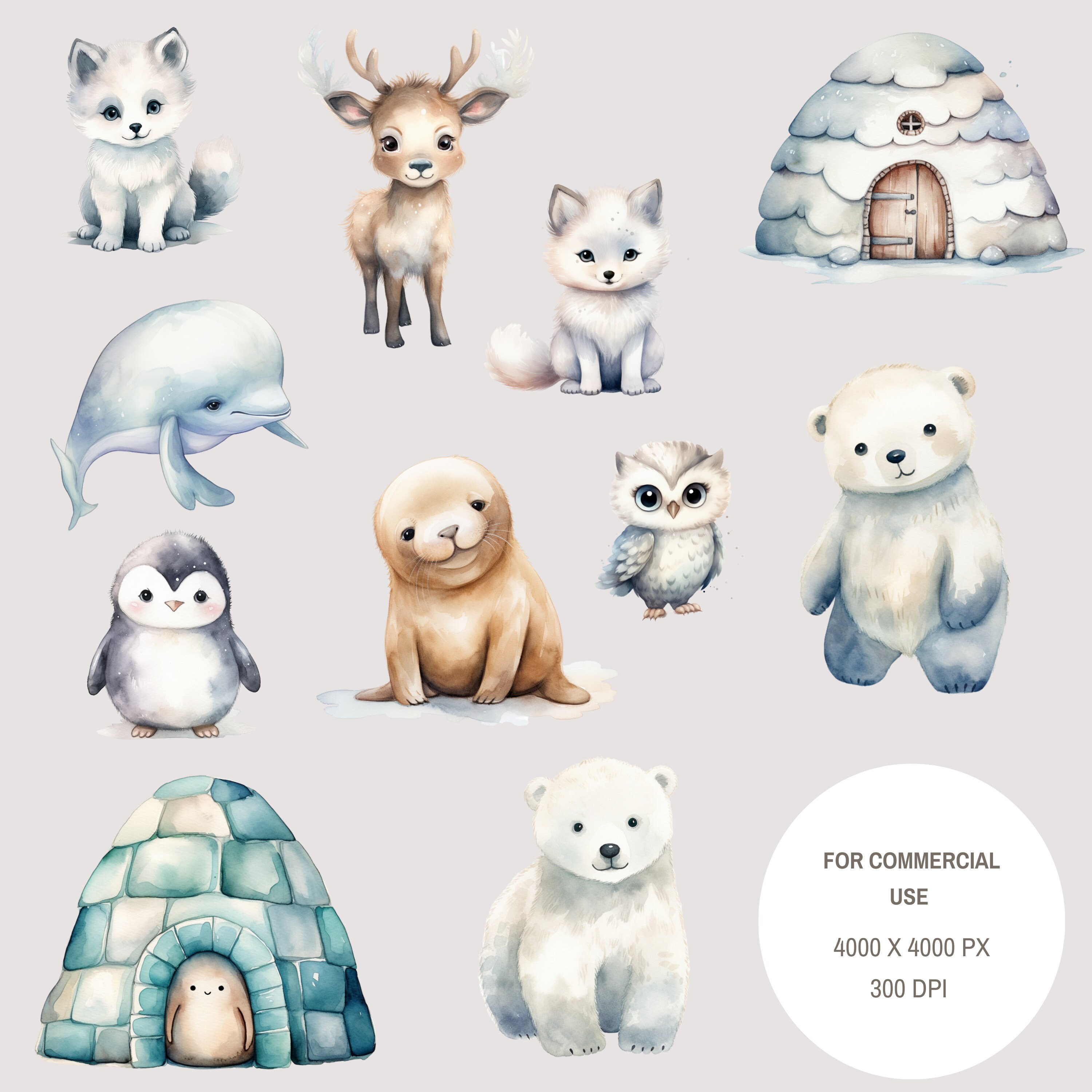 Watercolor Baby Arctic Animals Clipart Bundle, Winter Wonderland ...