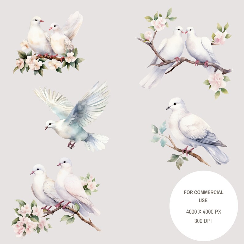Dove Clipart, Doves Clipart, Dove With Olive Branch, Bird Clipart ...