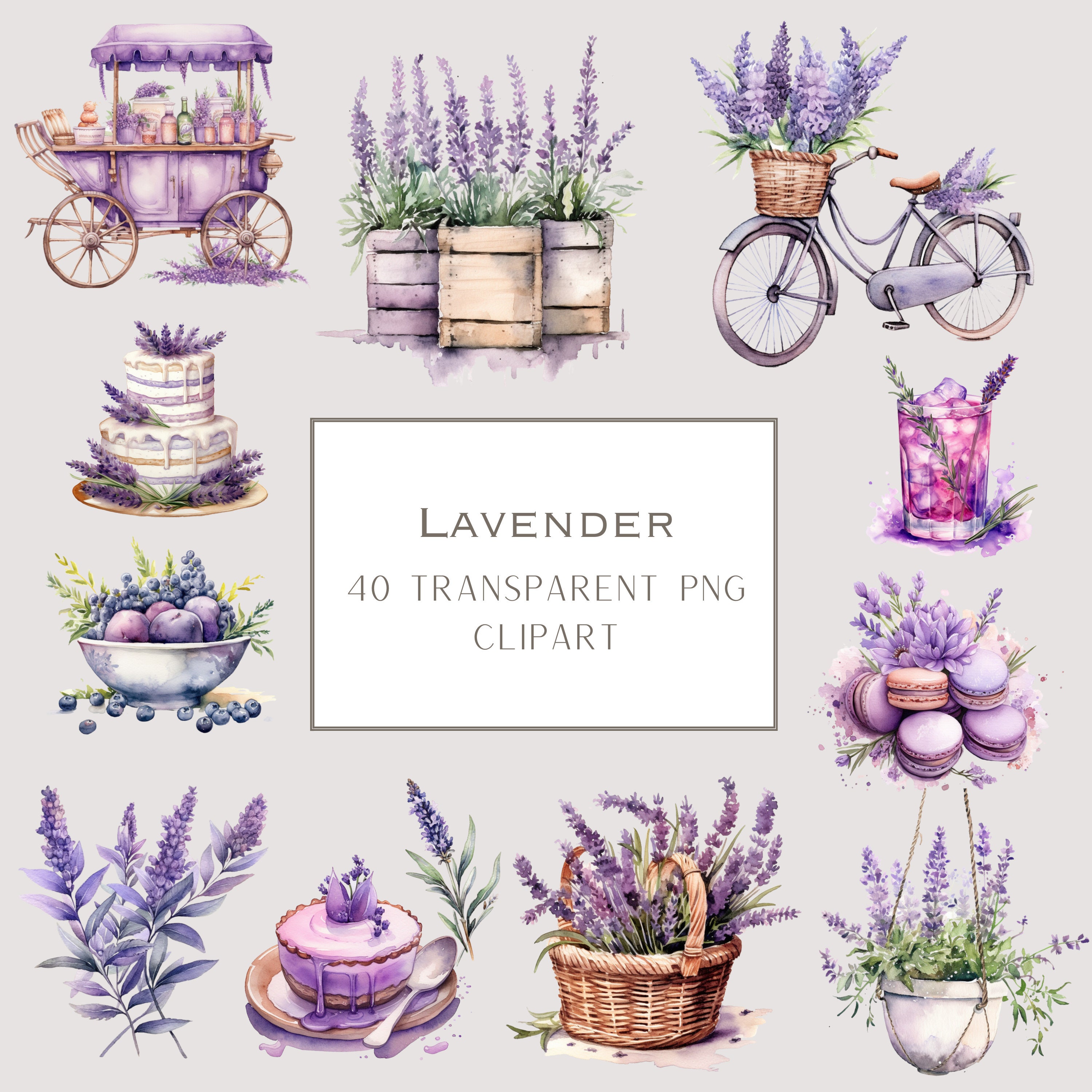Watercolour Lavender Clipart, Lavender Flowers Clipart, Lavender Garden ...