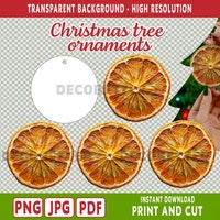Green Skin Orange Slices 10, 20 and 40 - Etsy UK