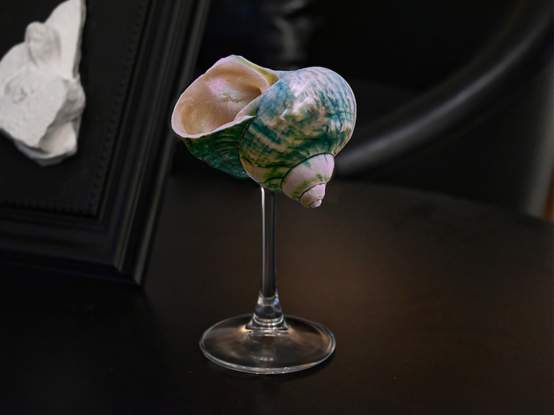 Customized Seashell Martini Glasses, Handmade Conch Cup Shell Cup ...