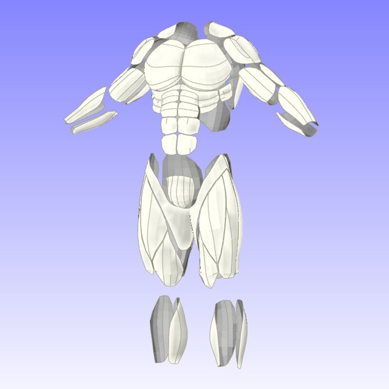 Realistic Muscle Suit - Etsy