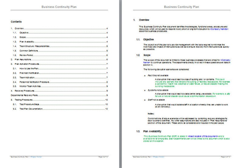 Business Continuity Plan Template - Etsy