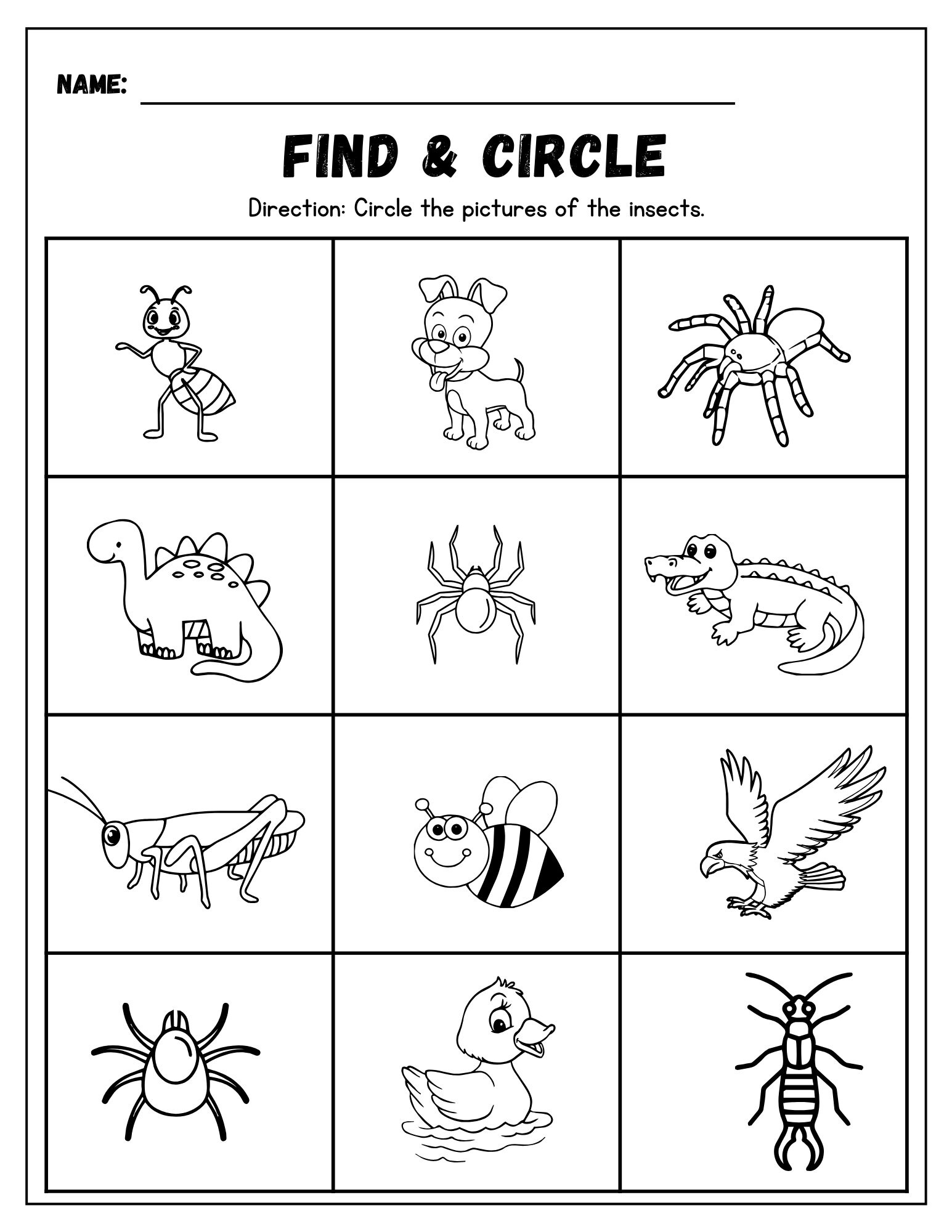 Bug Themed Workbook-letter Recognition, Number Recognition, Counting ...