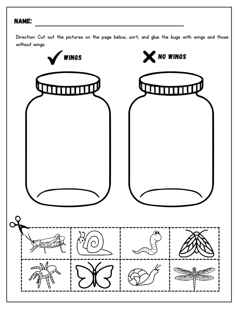 Bug Themed Workbook-letter Recognition, Number Recognition, Counting ...