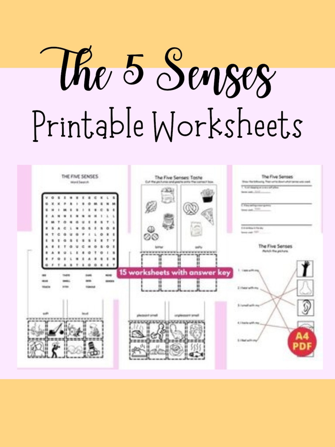 Exploring the 5 Senses Worksheet Set-1st to 2nd Grade Printable No Prep ...