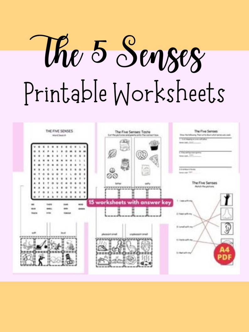 Exploring the 5 Senses Worksheet Set-1st to 2nd Grade Printable No Prep ...