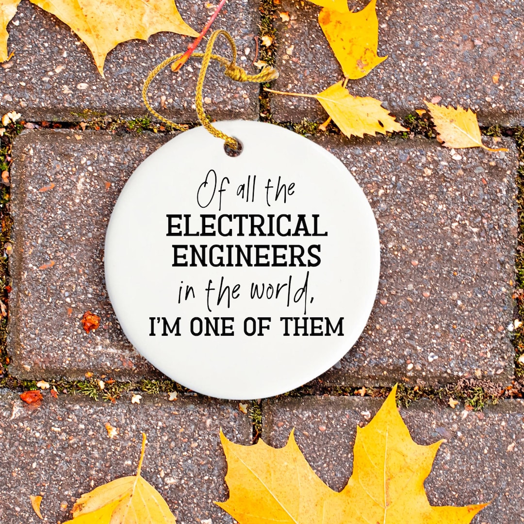 Electrical Engineer Ornament, Gift for Electrical Engineer, Electrical ...