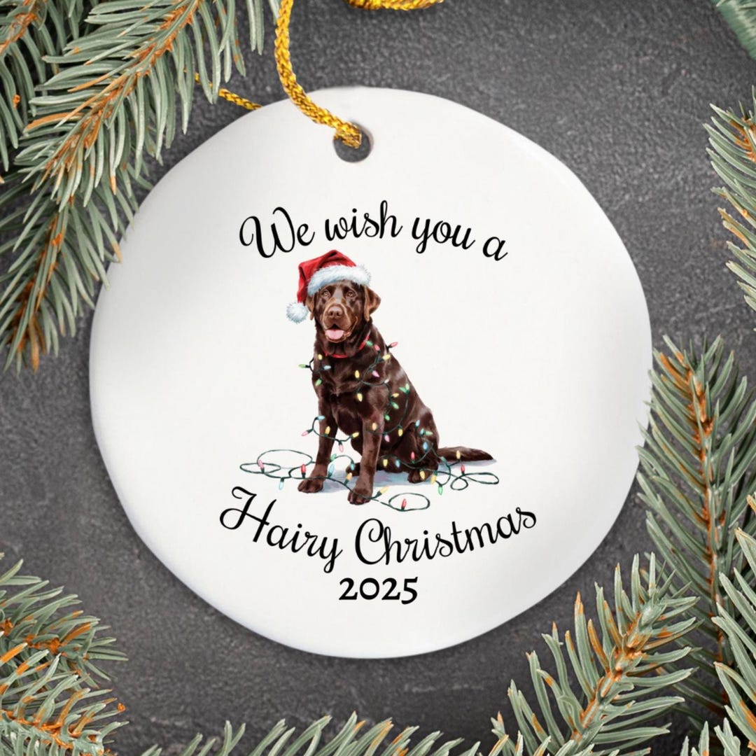 Christmas Chocolate Labrador Ornament, Lab Mom, Christmas Lights Dog ...