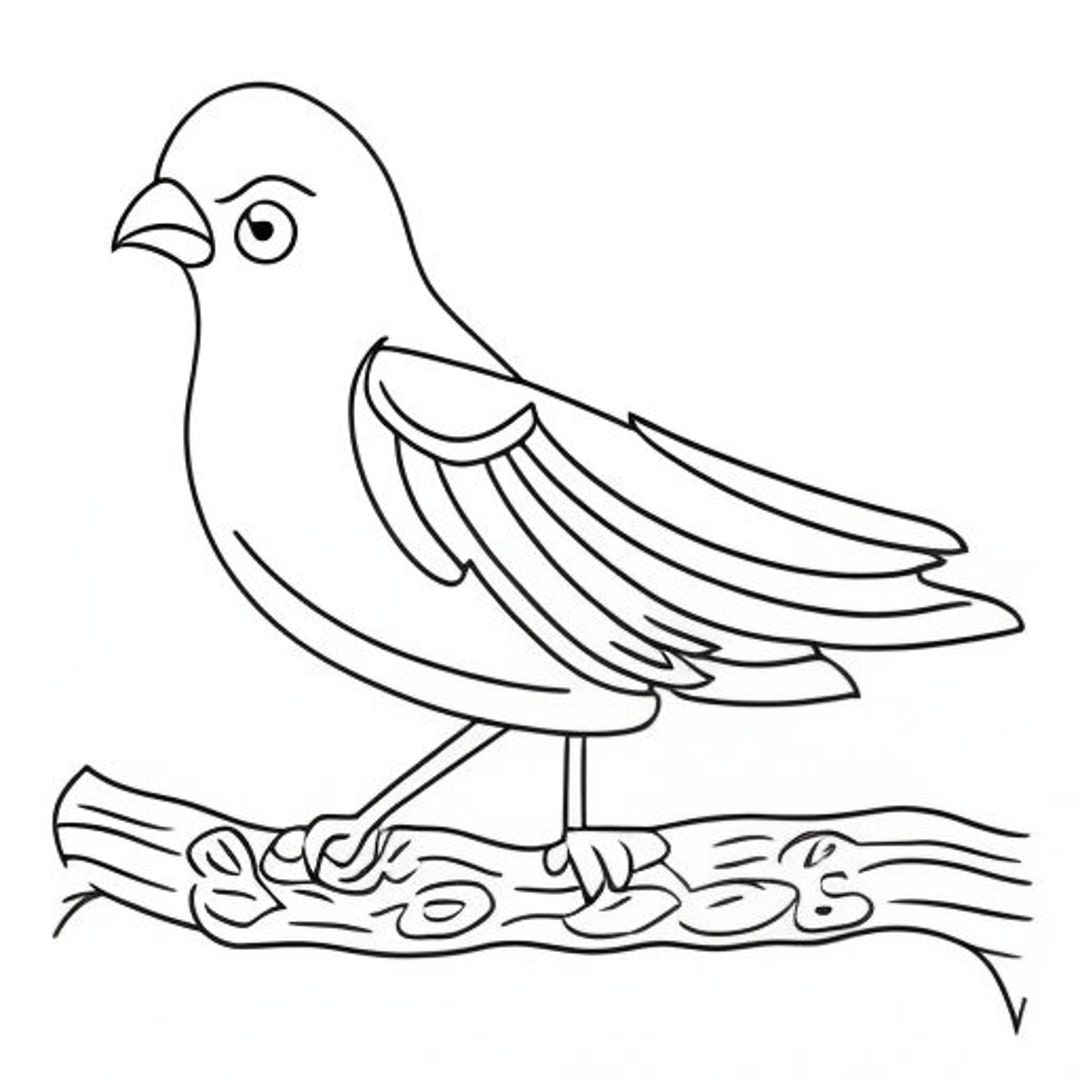 Coloring Book for Children With Birds as Motives - Etsy Canada