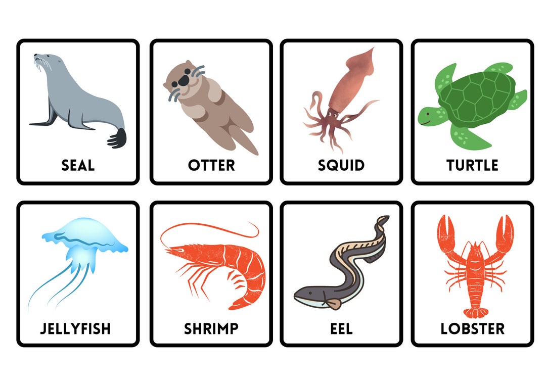 Sea Animals Flashcards Kids Educational Flashcards - Etsy